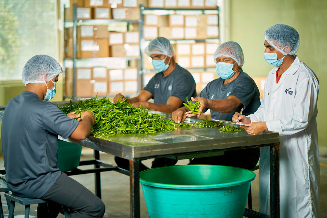 The Ferns' Food Story – Ferns Food